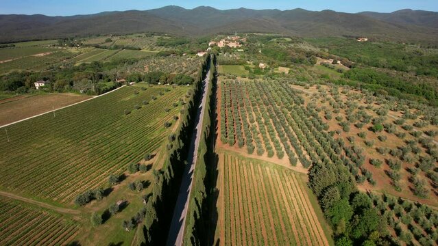 รูปภาพCarducci – เลือกดูภาพถ่ายสต็อก เวกเตอร์ และวิดีโอ1,008 | Adobe Stock