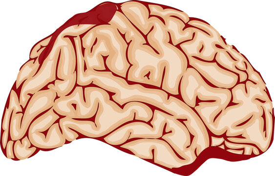 Cartoon Bloody Brains