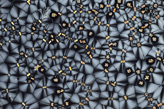 รูปภาพMicrophoto – เลือกดูภาพถ่ายสต็อก เวกเตอร์ และวิดีโอ1,133 | Adobe ...