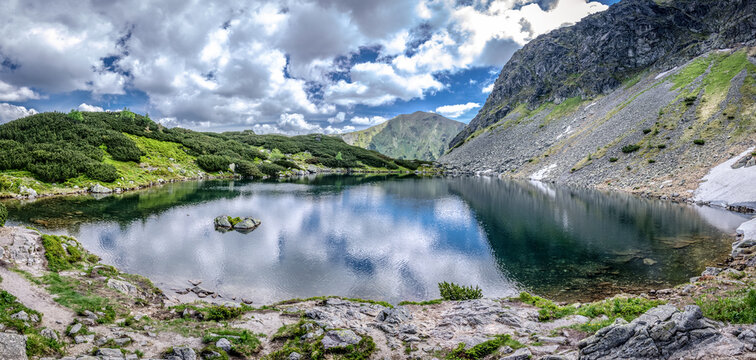 Plesa Images – Browse 309 Stock Photos, Vectors, and Video | Adobe Stock