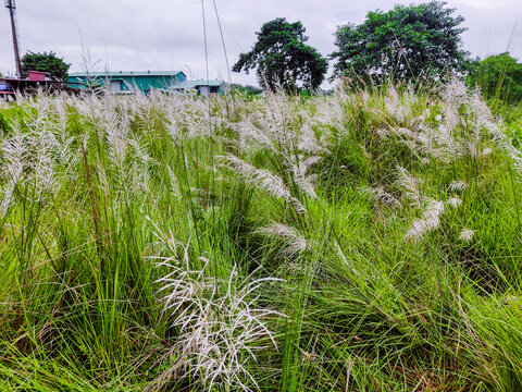 Kashful Images – Browse 279 Stock Photos, Vectors, and Video | Adobe Stock