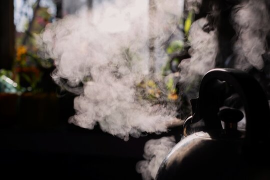 Pavor Bilder – Durchsuchen 184 Archivfotos, Vektorgrafiken und Videos ...