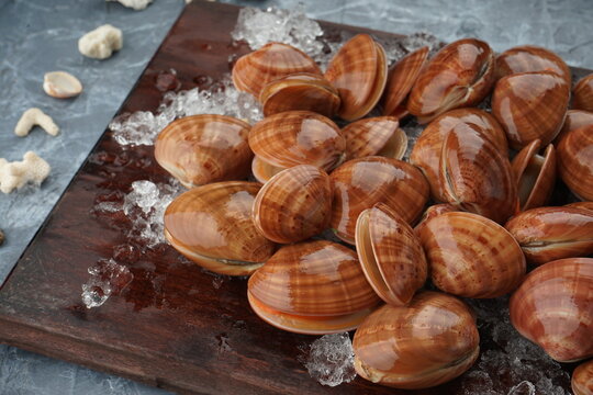 Sea Clams