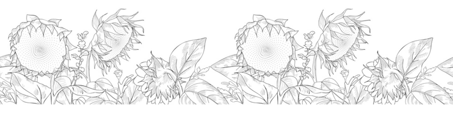 Sunflower Line Drawing Images – Browse 24,045 Stock Photos, Vectors ...