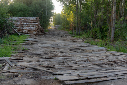 "Corduroy Road" Images – Browse 658 Stock Photos, Vectors, and Video ...