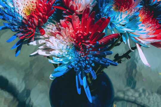 Pseudanthium Images – Browse 654,691 Stock Photos, Vectors, and Video ...