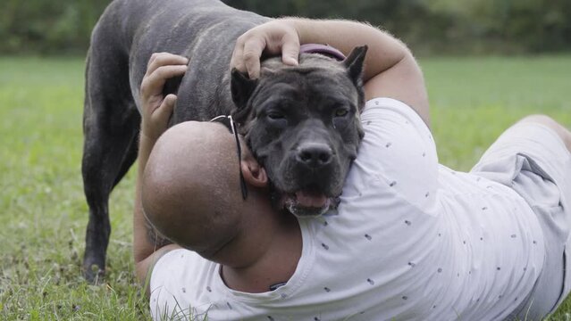 "Hugging Dog" Images – Browse 437 Stock Photos, Vectors, and Video ...
