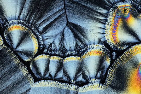 รูปภาพMicrophoto – เลือกดูภาพถ่ายสต็อก เวกเตอร์ และวิดีโอ1,133 | Adobe ...