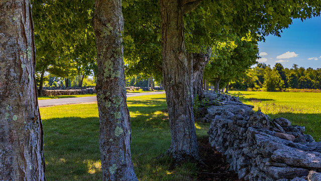 Hardwick Images – Browse 267 Stock Photos, Vectors, and Video | Adobe Stock