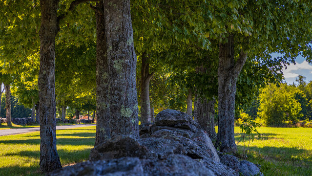 Hardwick Images – Browse 202 Stock Photos, Vectors, and Video | Adobe Stock