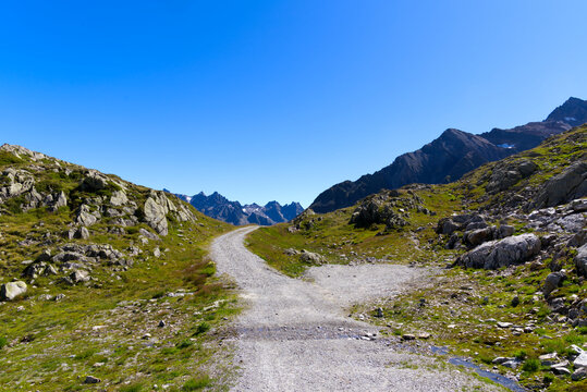 Meien Images – Browse 49 Stock Photos, Vectors, and Video | Adobe Stock