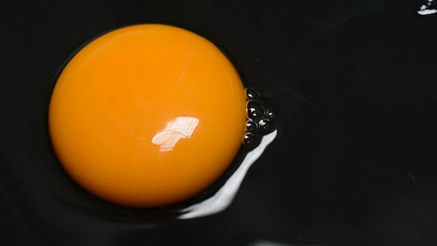 Egg Yolk Images – Browse 389,098 Stock Photos, Vectors, and Video ...