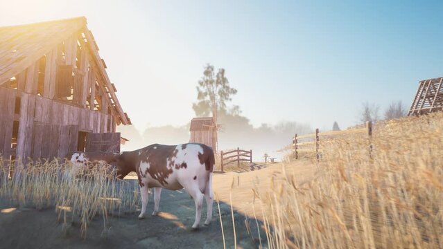 Cow-Wheat Bilder – Durchsuchen 892 Archivfotos, Vektorgrafiken und ...