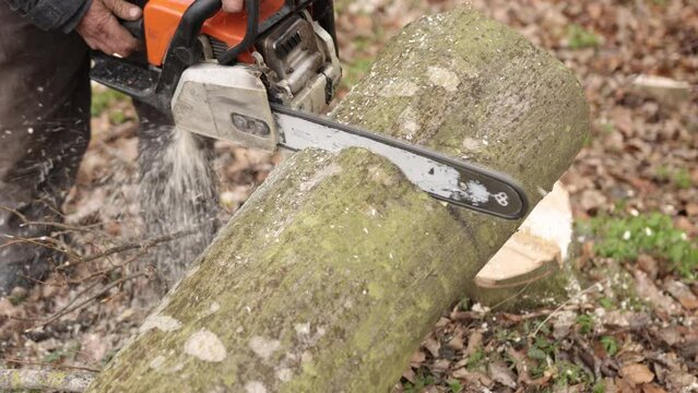 "Cutting Trees" Images – Browse 1,589 Stock Photos, Vectors, and Video ...