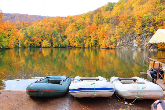 Imagens de Parz – Explore Fotografias do Stock, Vetores e Vídeos de 86 ...
