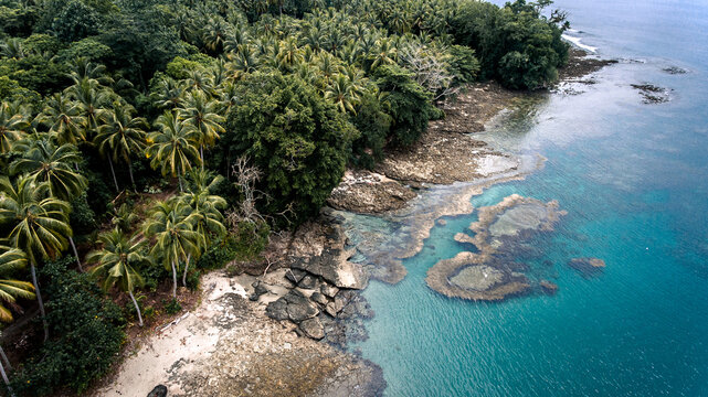 Manokwari Images – Browse 164 Stock Photos, Vectors, and Video | Adobe ...