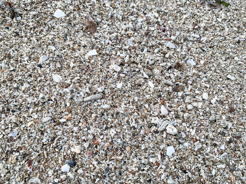 Sandy Rocky Texture Images – Browse 4,103 Stock Photos, Vectors, and ...