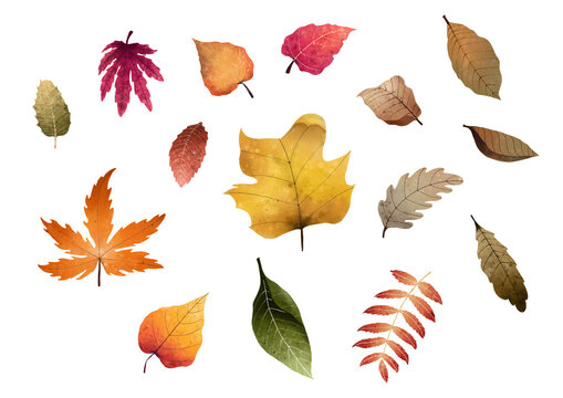 Traceable Images – Browse 541 Stock Photos, Vectors, and Video | Adobe ...