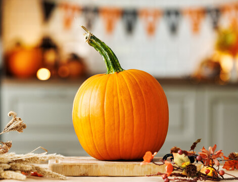 Hallowmas Bilder – Durchsuchen 45,883 Archivfotos, Vektorgrafiken und ...