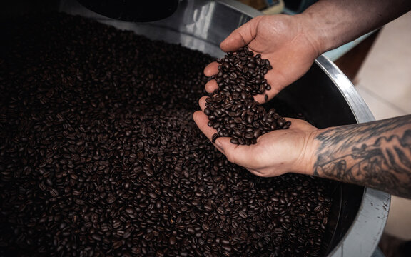 "Scooping Up" Images – Browse 587 Stock Photos, Vectors, and Video ...