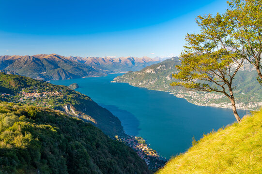รูปภาพBarni – เลือกดูภาพถ่ายสต็อก เวกเตอร์ และวิดีโอ192 | Adobe Stock