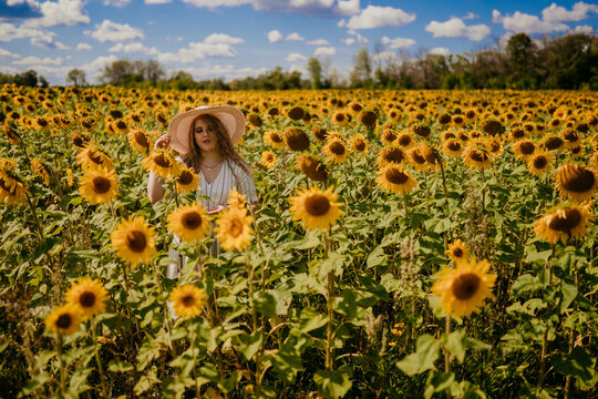 Pseudanthium Images – Browse 655,910 Stock Photos, Vectors, and Video ...