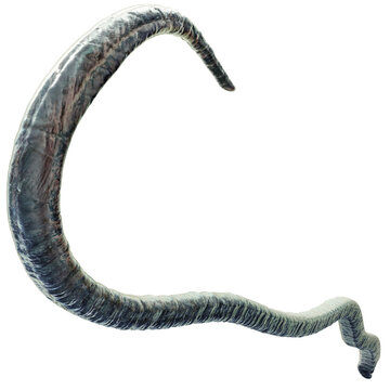 NeoStock photos, images, assets | Adobe Stock