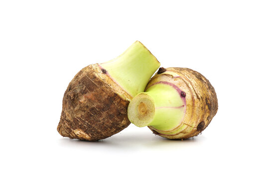 "Taro Corm" Bilder – Durchsuchen 217 Archivfotos, Vektorgrafiken und ...