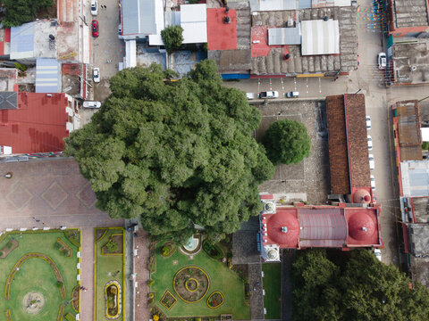 Ahuehuete Bilder – Durchsuchen 239 Archivfotos, Vektorgrafiken und ...