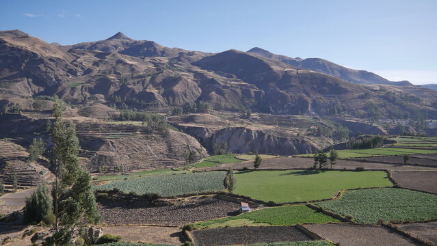 「Terre-Plein」の写真素材 | 166件の無料イラスト画像 | Adobe Stock