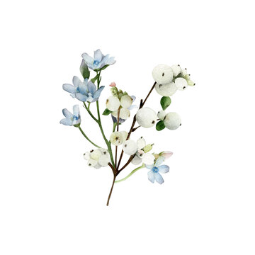 Tweedia Images – Browse 175 Stock Photos, Vectors, and Video | Adobe Stock