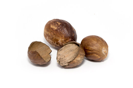 รูปภาพ"Nutmeg Isolated" – เลือกดูภาพถ่ายสต็อก เวกเตอร์ และวิดีโอ91 ...