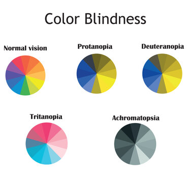 Tritanopia Images – Browse 37 Stock Photos, Vectors, and Video | Adobe ...