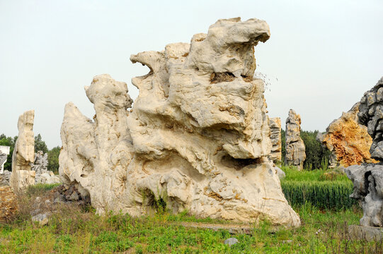 "Geographical Indication" Images – Browse 581 Stock Photos, Vectors ...