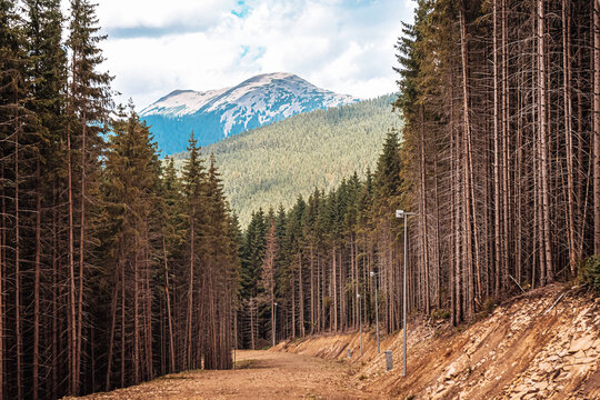 Tonal Images – Browse 28,574 Stock Photos, Vectors, and Video | Adobe Stock