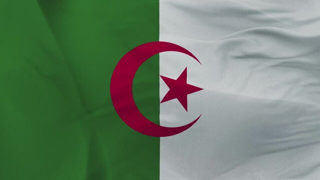 Drapeau Algerie Images – Browse 277 Stock Photos, Vectors, and Video ...