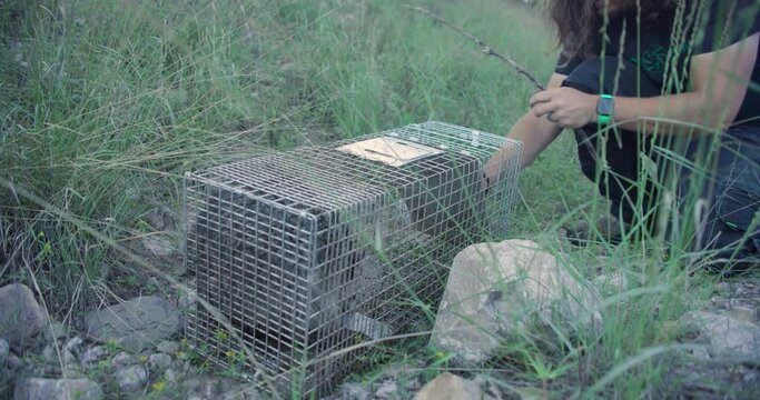 Trapping Images – Browse 244,522 Stock Photos, Vectors, and Video ...