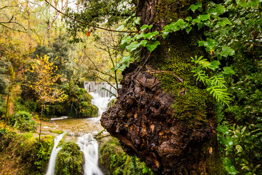 Batlle Images – Browse 60 Stock Photos, Vectors, and Video | Adobe Stock