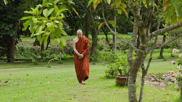 Monk Walking Images – Browse 9,480 Stock Photos, Vectors, and Video ...