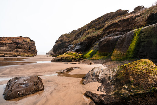 "Oregon Beaches" Imagens – Procure 70 fotos, vetores e vídeos | Adobe Stock