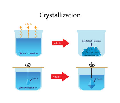 Nacl bilder – Bläddra bland 7,052 stockfoton, vektorer och videor | Adobe Stock