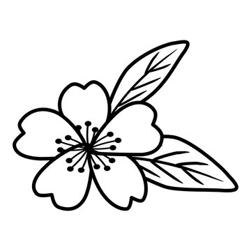 Cherry Blossom Outline Pattern Images – Browse 3,821 Stock Photos ...