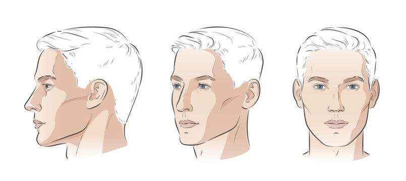 「Three-Quarter」の写真素材 | 4,860件の無料イラスト画像 | Adobe Stock