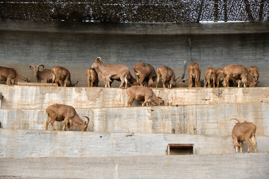 「Crepuscular」の画像 - 7,713 件の Stock 写真、ベクターおよびビデオ | Adobe Stock