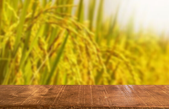 Tabletop Rice Field Backdrop Images – Browse 390 Stock Photos, Vectors ...