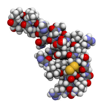 Orexin-Bilder: Stock-Fotos & -Videos. | Adobe Stock