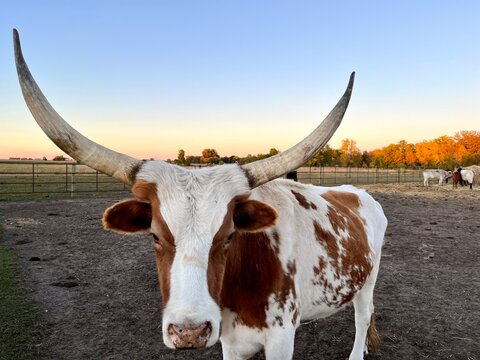 Fernando 이미지 – 찾아보기 7,491 스톡 사진, 벡터 및 비디오 | Adobe Stock