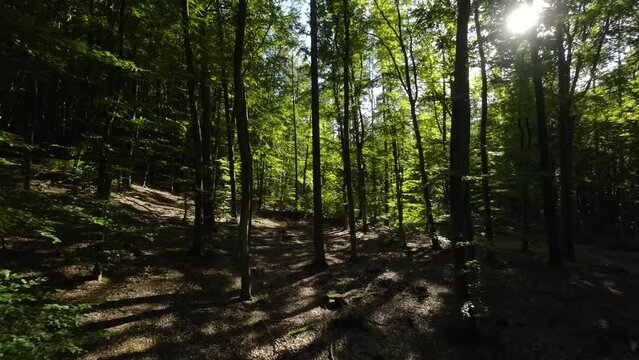 「Shaow」の画像 - 23 件の Stock 写真、ベクターおよびビデオ | Adobe Stock