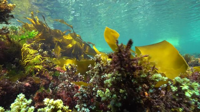 Wrack Images – Browse 10,702 Stock Photos, Vectors, and Video | Adobe Stock