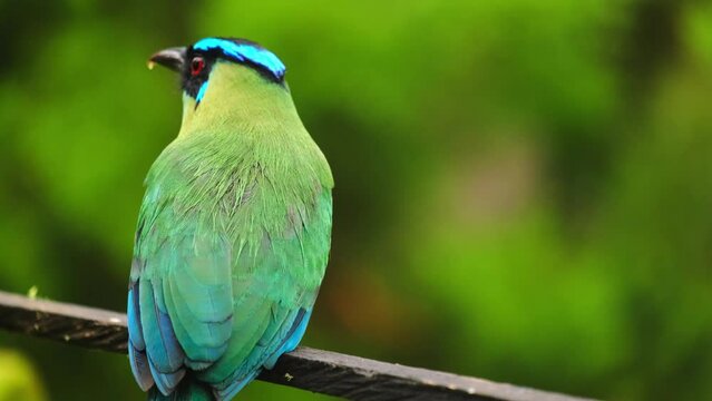 Barranquero Bilder – Durchsuchen 201 Archivfotos, Vektorgrafiken und ...